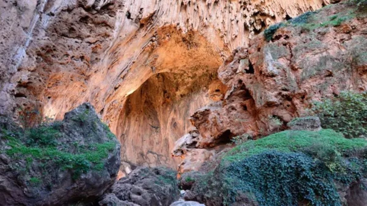 Fas'ın Taforalt Mağarası'nda 15 bin yıllık tıbbi bitki kullanımına dair ...